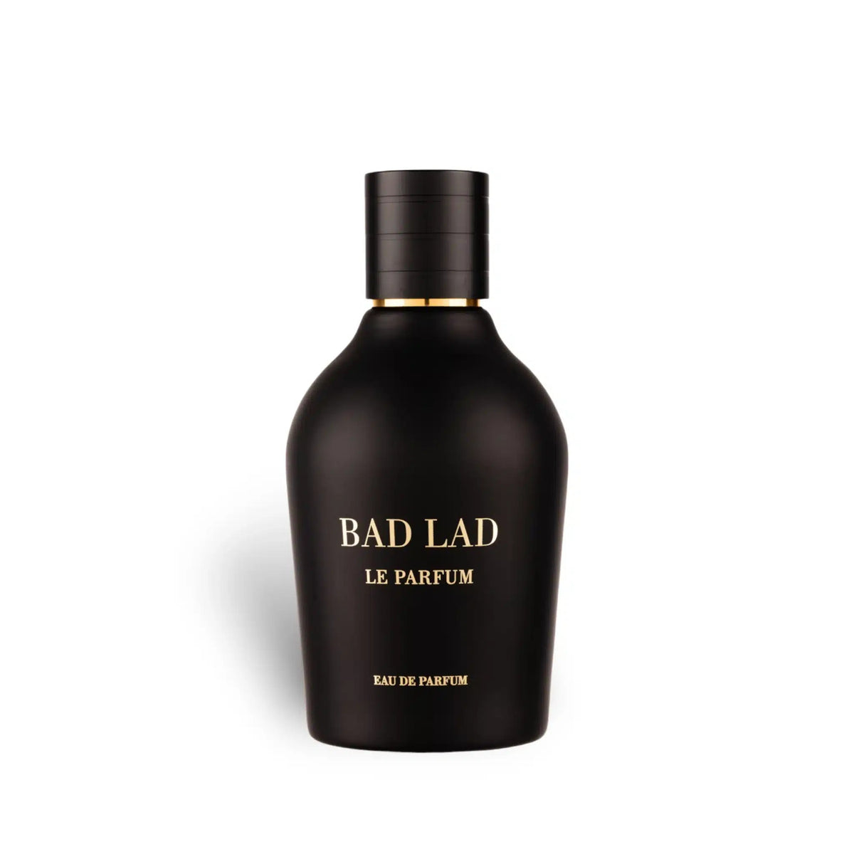 Bad Lad Le Parfum 100ml EDP by Fragrance World | Olvio